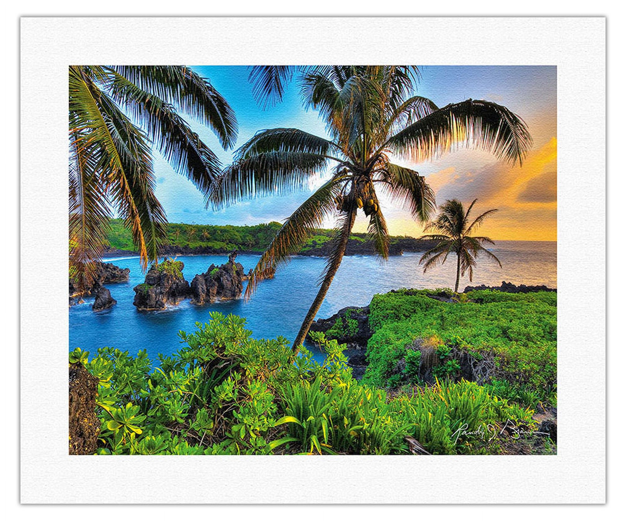Where Da Coconuts Grow - Hana Hawai’i - From an Original Color ...