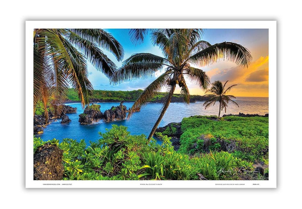 Where Da Coconuts Grow - Hana Hawai’i - From an Original Color Photograph by Randy Jay Braun ...