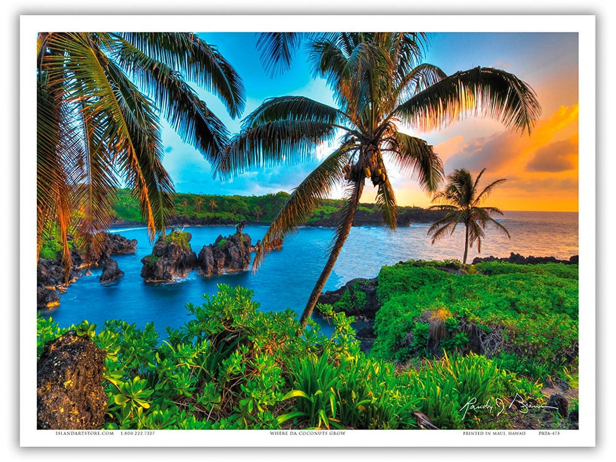 Where Da Coconuts Grow - Hana Hawai’i - From an Original Color Photograph by Randy Jay Braun ...
