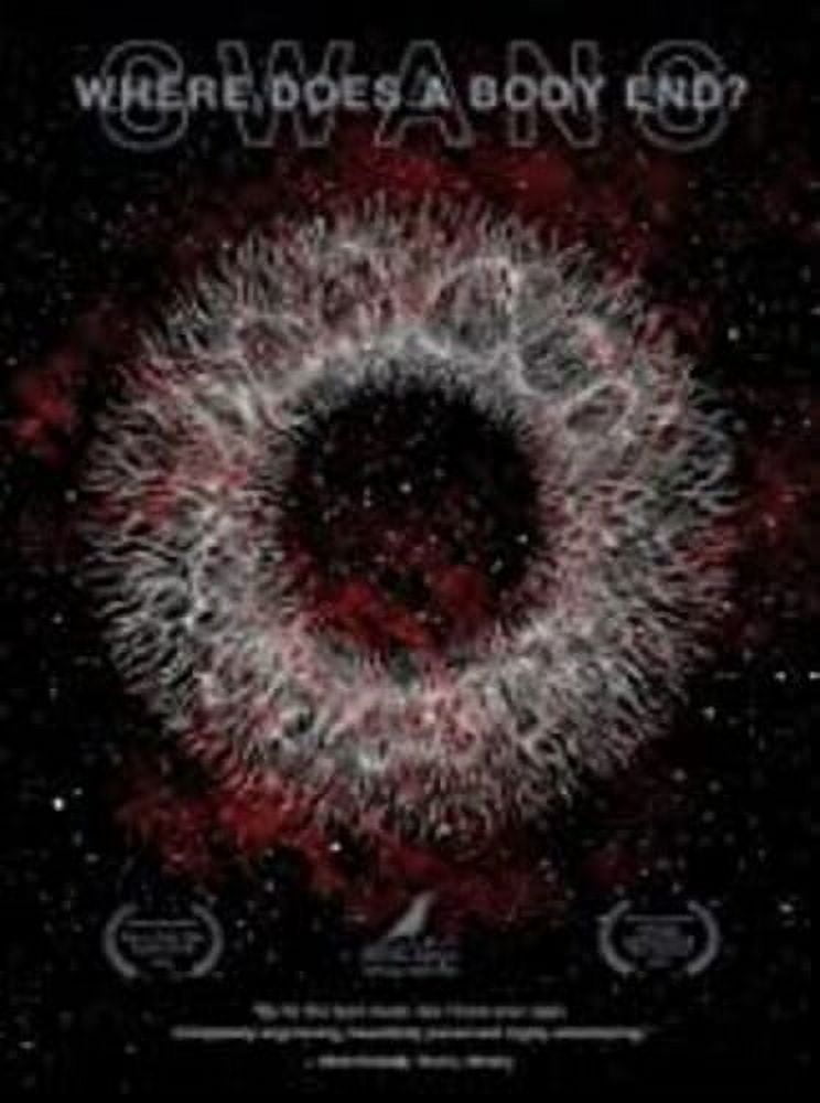 Where Does a Body End (Blu-ray), MVD Visual, Music & Performance ...
