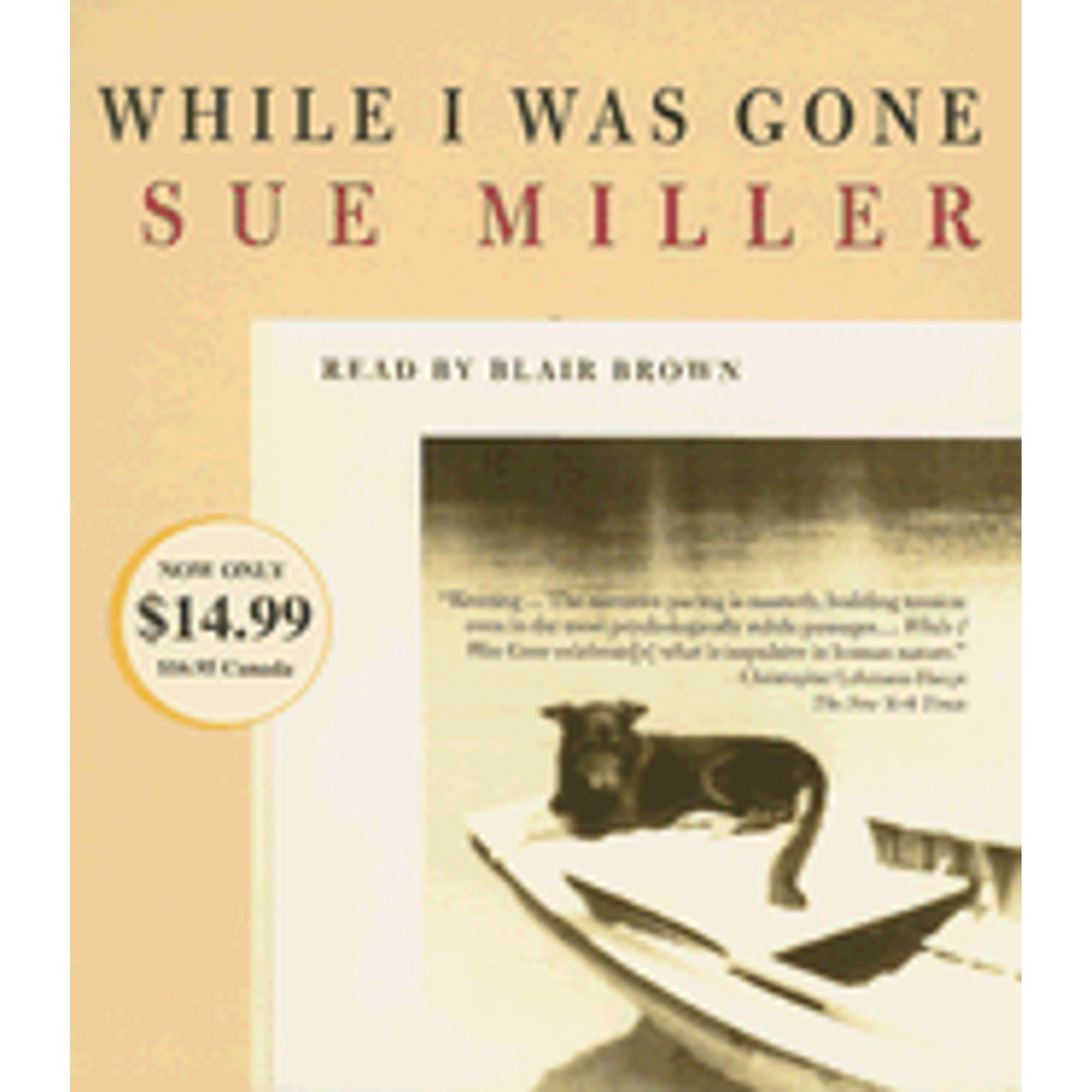Pre-Owned While I Was Gone (Audiobook 9780739365717) by Sue Miller ...