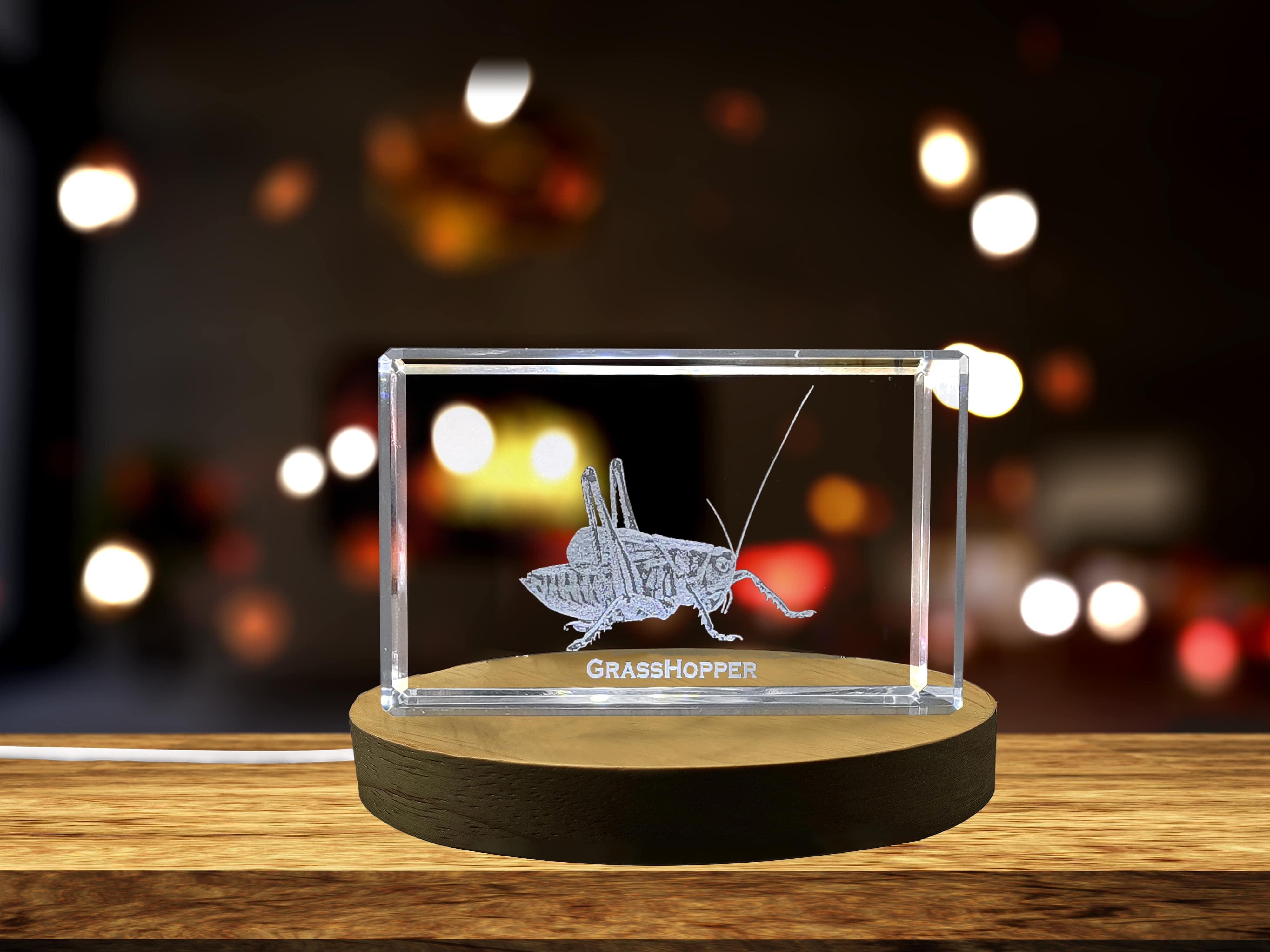 Whimsical Grasshopper Crystal Carvings | Exquisite Gems Etched with ...