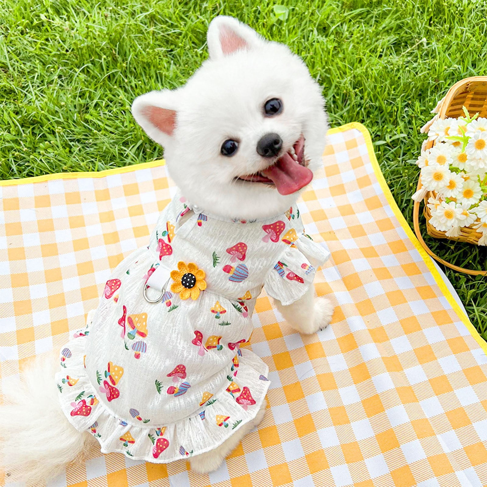 Whimsical Mesh Pet Dress with Lace Details - Soft Breathable Nylon Dog ...