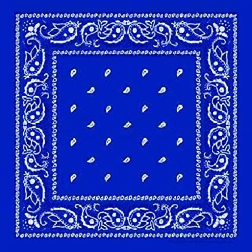 Whimsical Practicality's Blue Paisley Bandana Edible Icing Image Cake ...