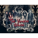 Whimsical Practicality's Vampire Diaries Edible Icing Image Cake Topper ...
