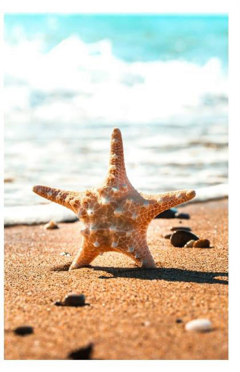 Whimsical Starfish: Journal: Beachy Starfish: Lined Journal, 120 Pages ...