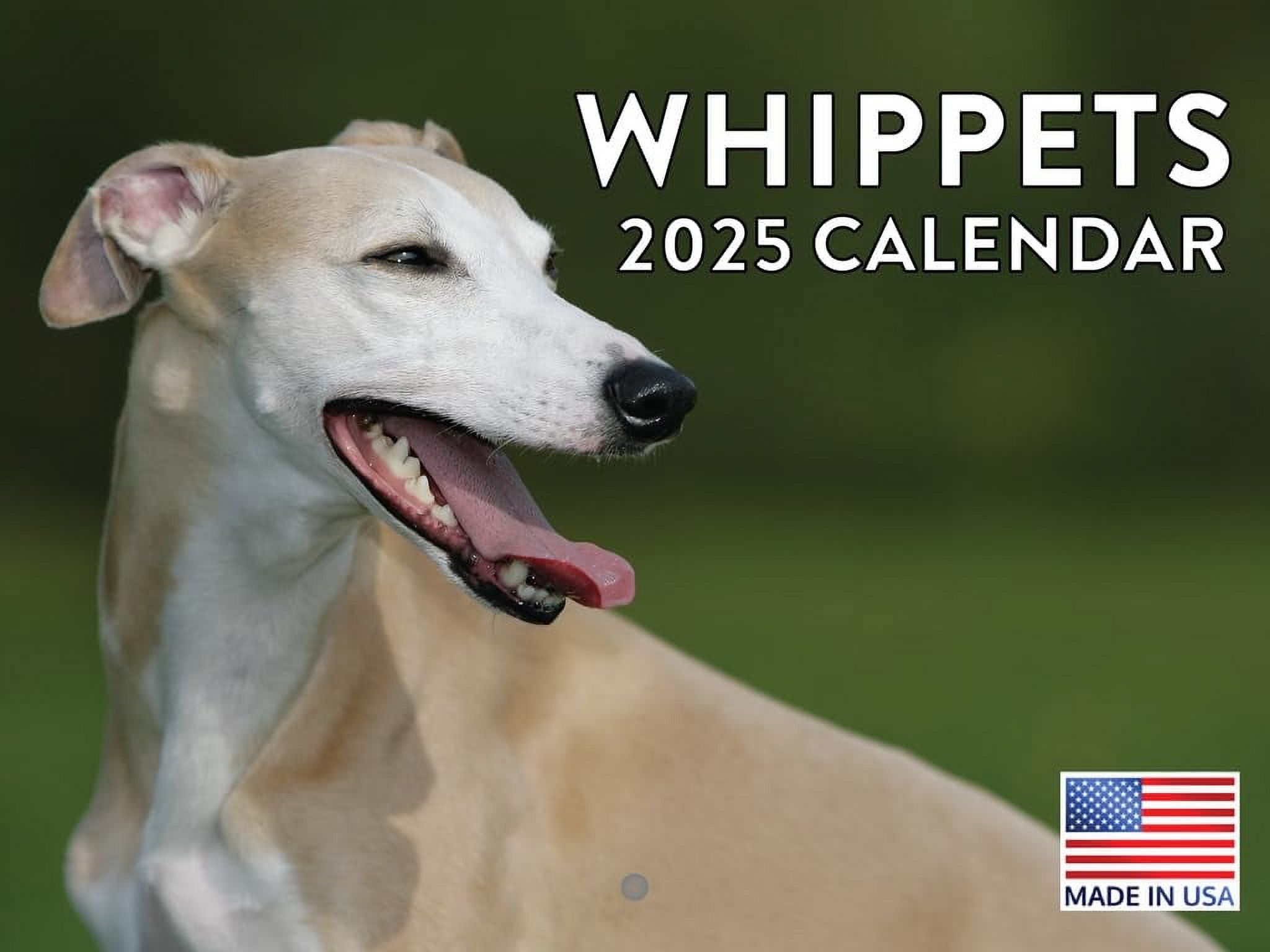 Whippet Calendar 2025 Monthly Wall Calender | American Made In The USA ...