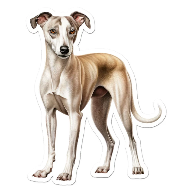 Whippet Dog Sticker Phone Decal Water Bottle Stickers Car Decals ...