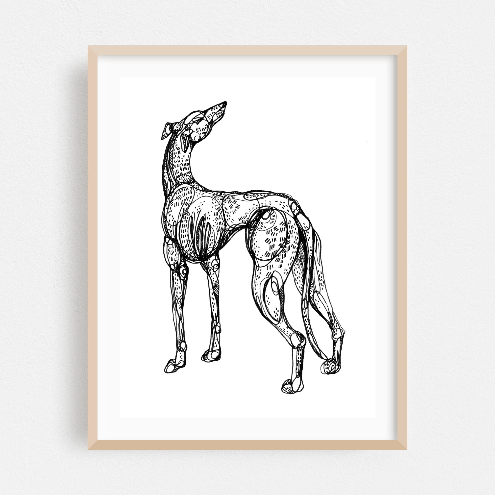 Whippet - Drawing Dog Animal Line Art Abstract Sketch Black and White ...