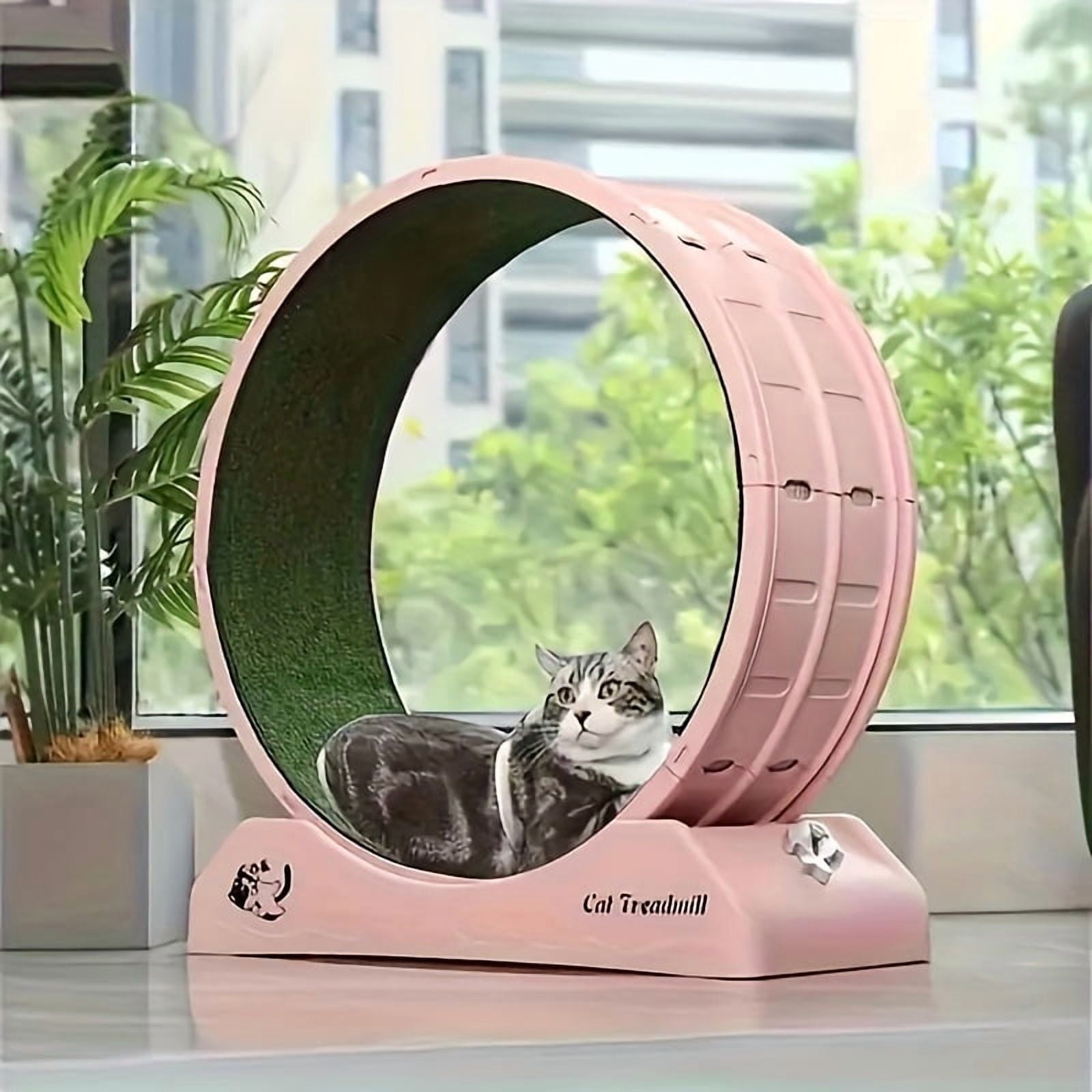 Whisker Wheels Fitness Pro - Carpeted Indoor Cat Running Wheel with ...