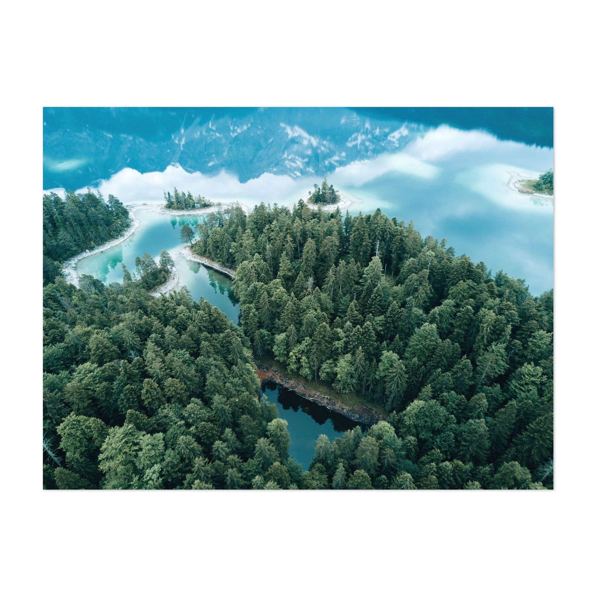 Whispers of the Alps - Photography Forest Nature Landscape Scenic ...