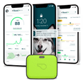 Whistle GO Explore Dog GPS Tracking Device and Pet Health Monitoring ...