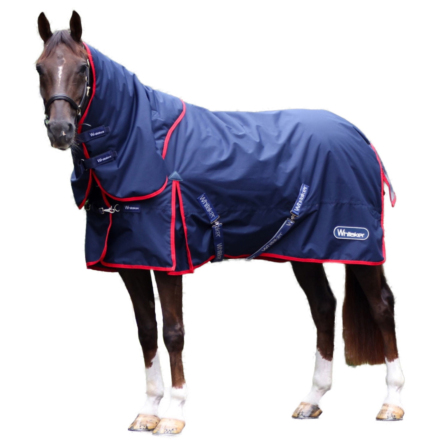 Whitaker Rastrick V2 Fixed Neck Airflow Horse Turnout Rug - Walmart.com