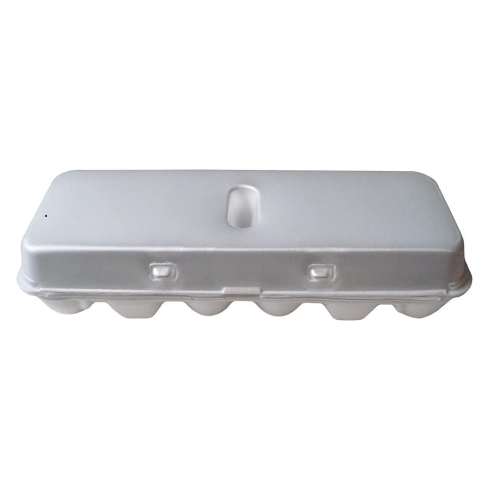 White 12-Egg Blank Styrofoam Carton - 125 Pack - Walmart.com