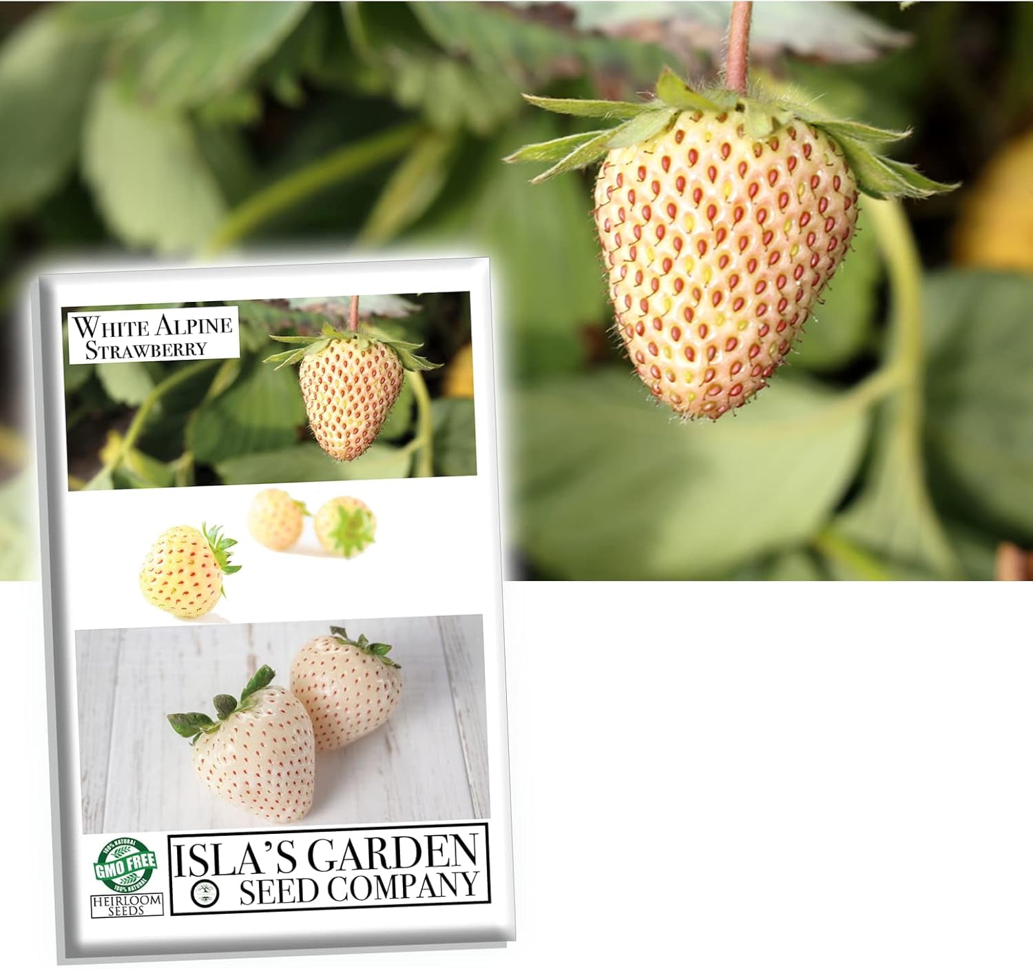 Customer reviews for White Alpine Strawberry Seeds Fruit/Plant Seeds ...