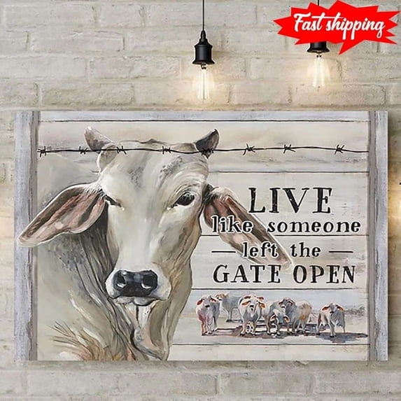 White &Amp Brown Cows With Horns Live Like Someone Left The Gate Open ...