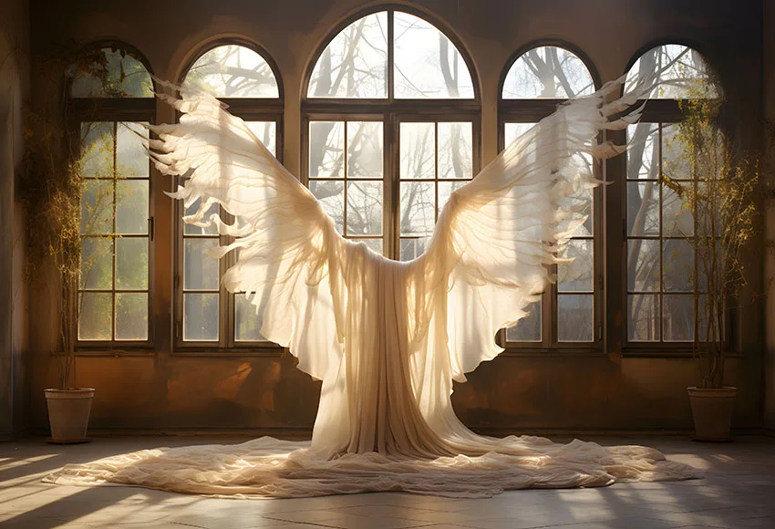 White Angel Wings Window Adult Birthday Wedding Maternity Portrait r ...