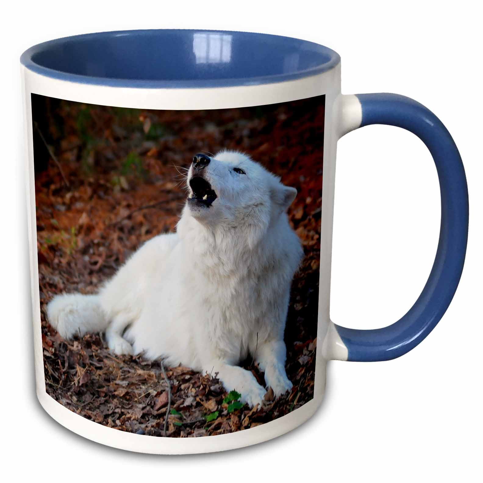 3drose, White Arctic Wolf, Howling 1, 11oz Two-tone Blue Mug - Walmart.com