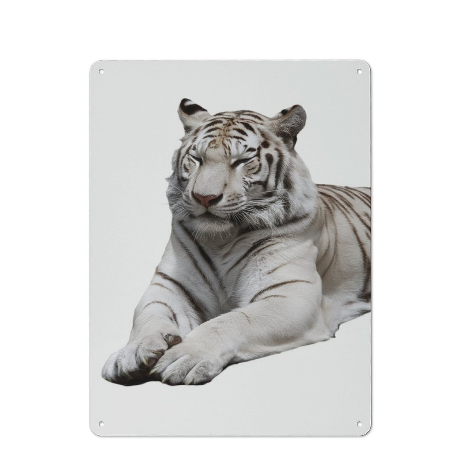 White Bengal Tiger 2 Metal Tin Sign - Durable Aluminum Wall Art for ...