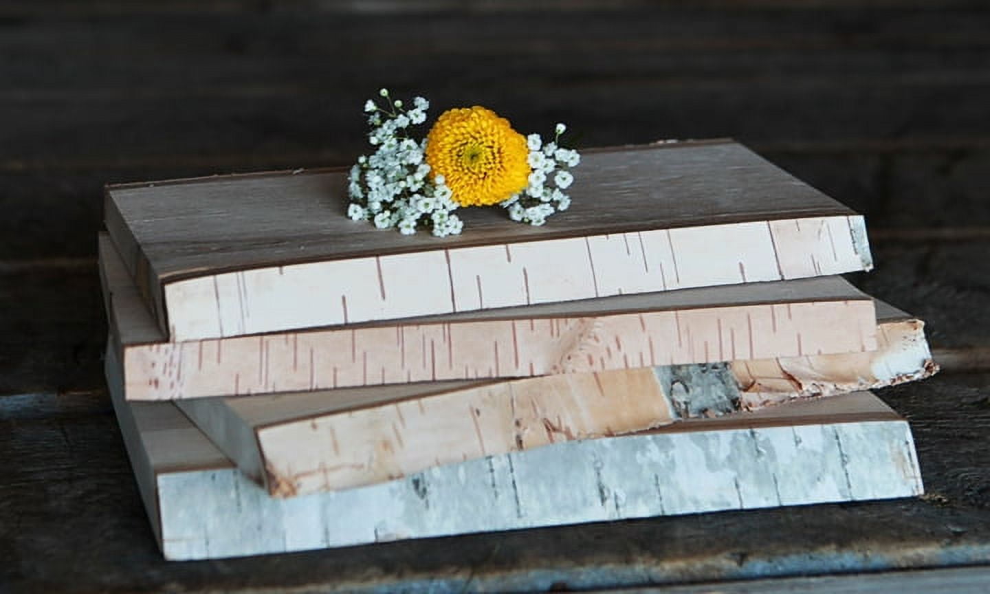 White Birch Plank, Large (set of 6) - Walmart.com