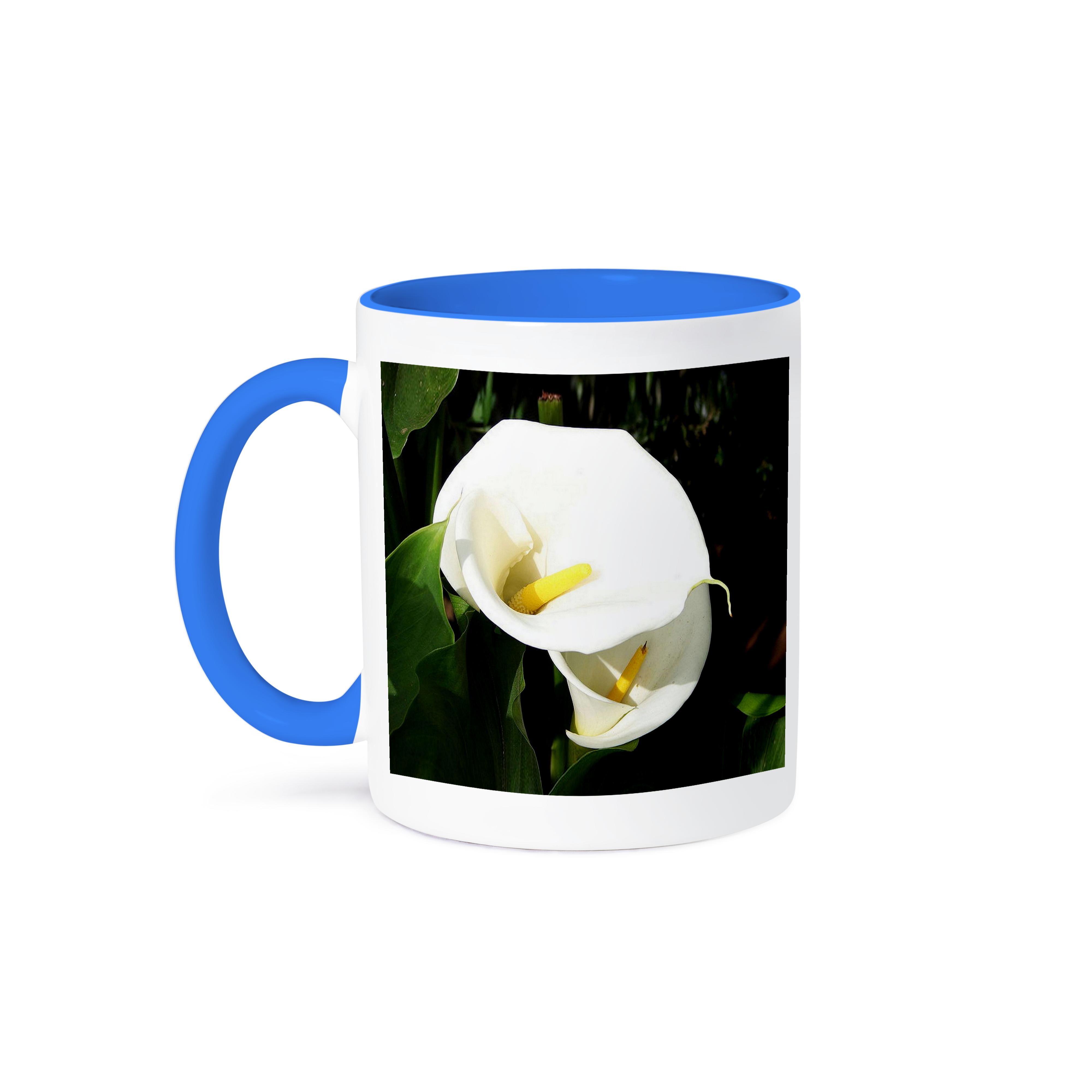 White Calla Flowers In Bright Sunlight, The Stunning Blooms Of Calla ...