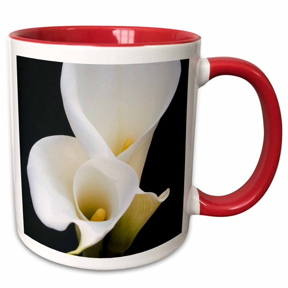White Calla Lily Flower - Na01 Jwi0014 - Jamie And Judy Wild, 15oz Two ...