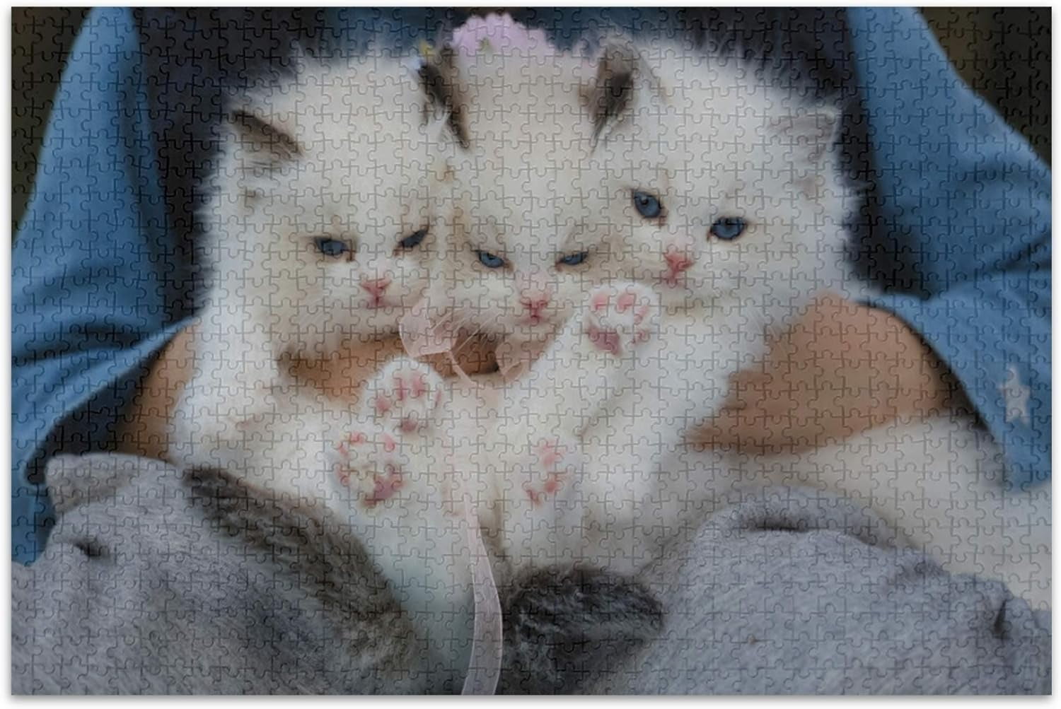 White Cats Jigsaw Puzzle 500 Pieces for Adults Teens Kids, Fun Puzzles ...