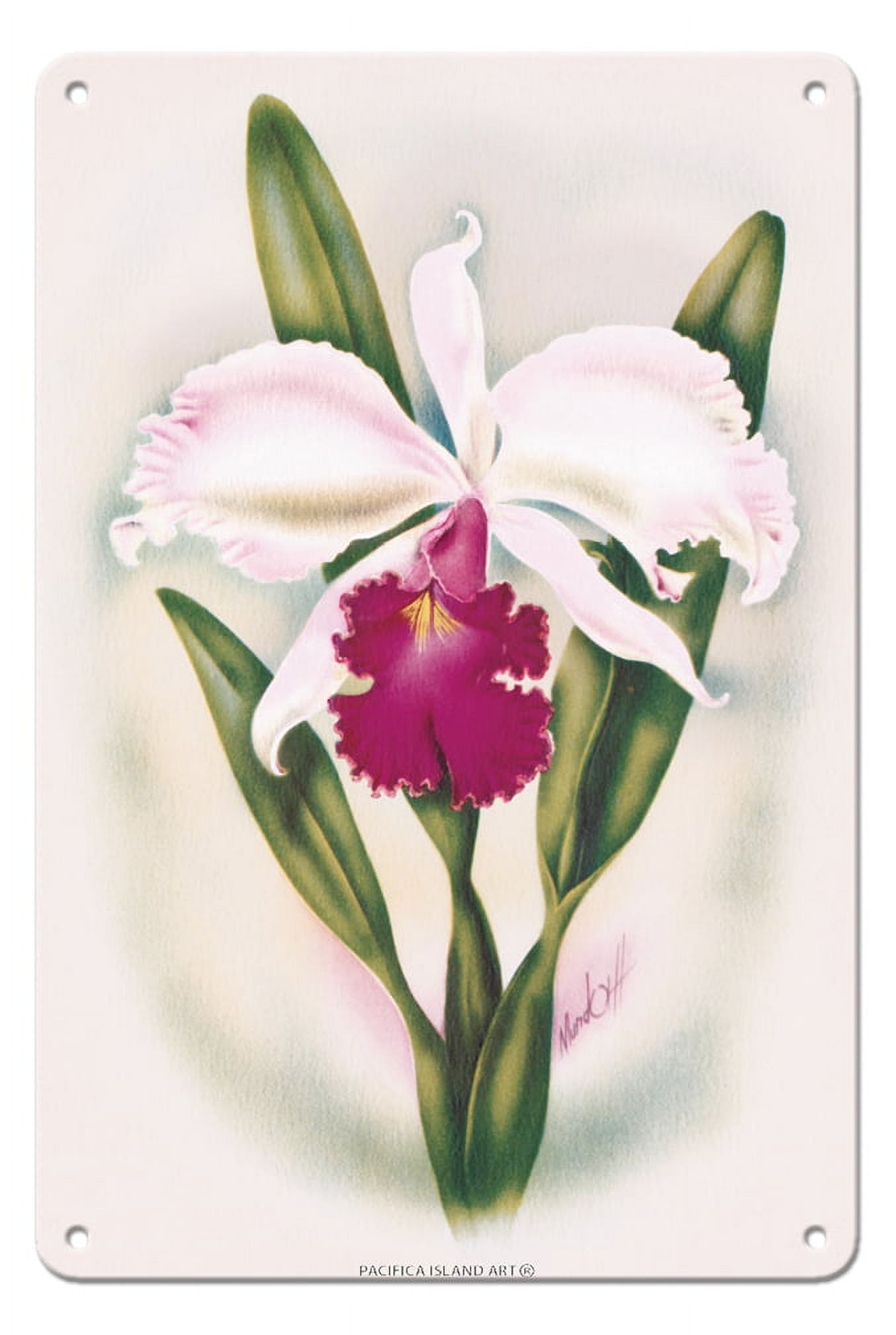 White Cattleya Orchid - Queen of Orchids - Hawaii - Vintage Hawaiian ...