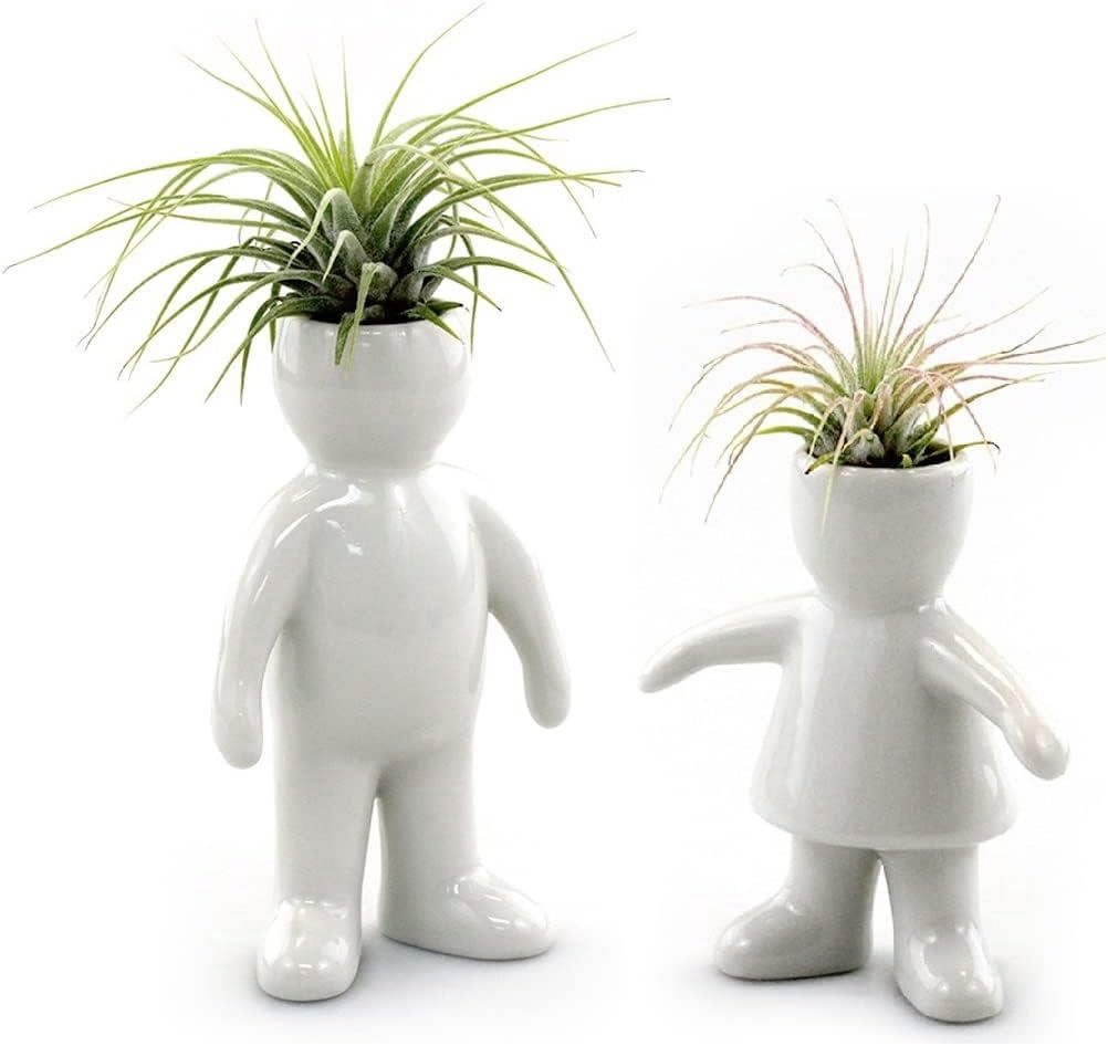 White Ceramic Father and Daughter Shaped Planters with Live Tillandsia ...