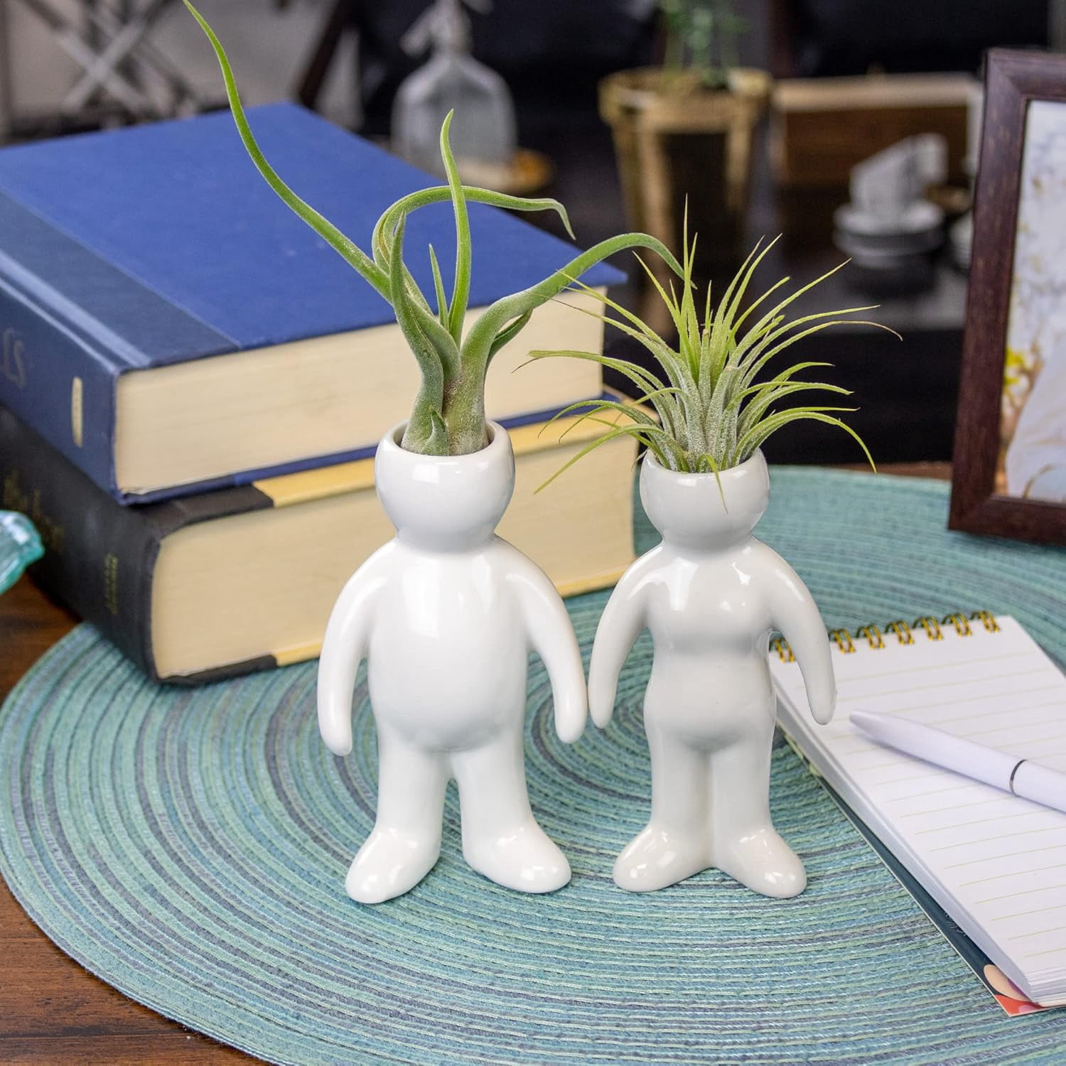 White Ceramic Man and Woman Shaped Planters With Tillandsia Air Plants ...