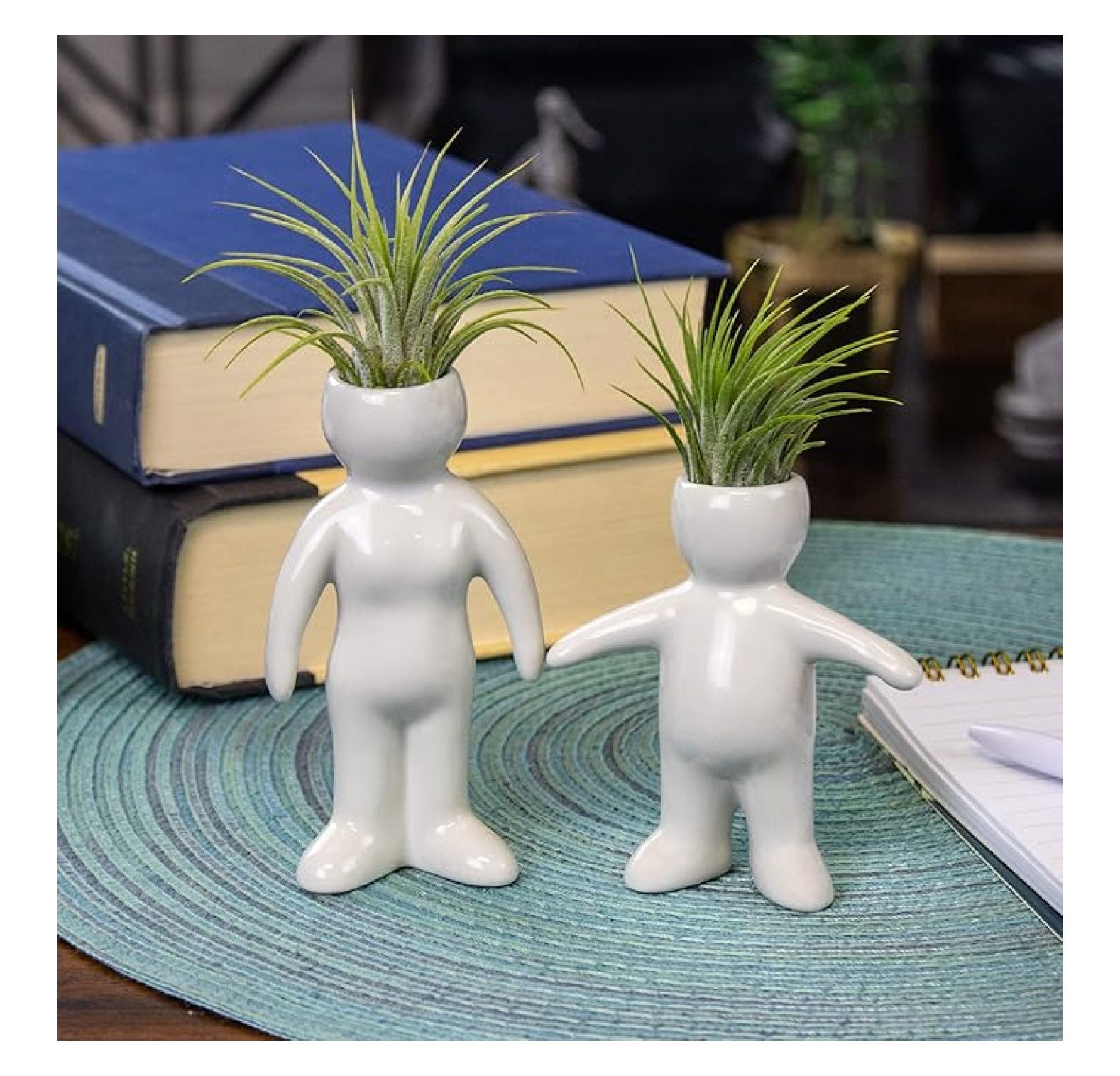 White Ceramic Woman and Boy People Shaped Planter with Live Tillandsia ...