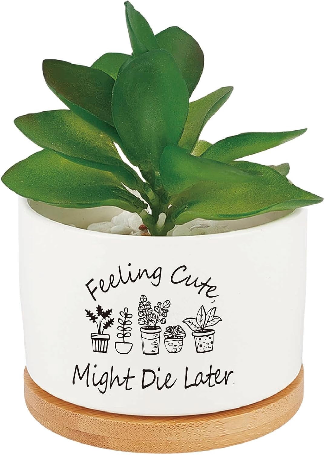 White Ceramics Planters Funny Succulent Plant Pot Cactus Flower Grow ...