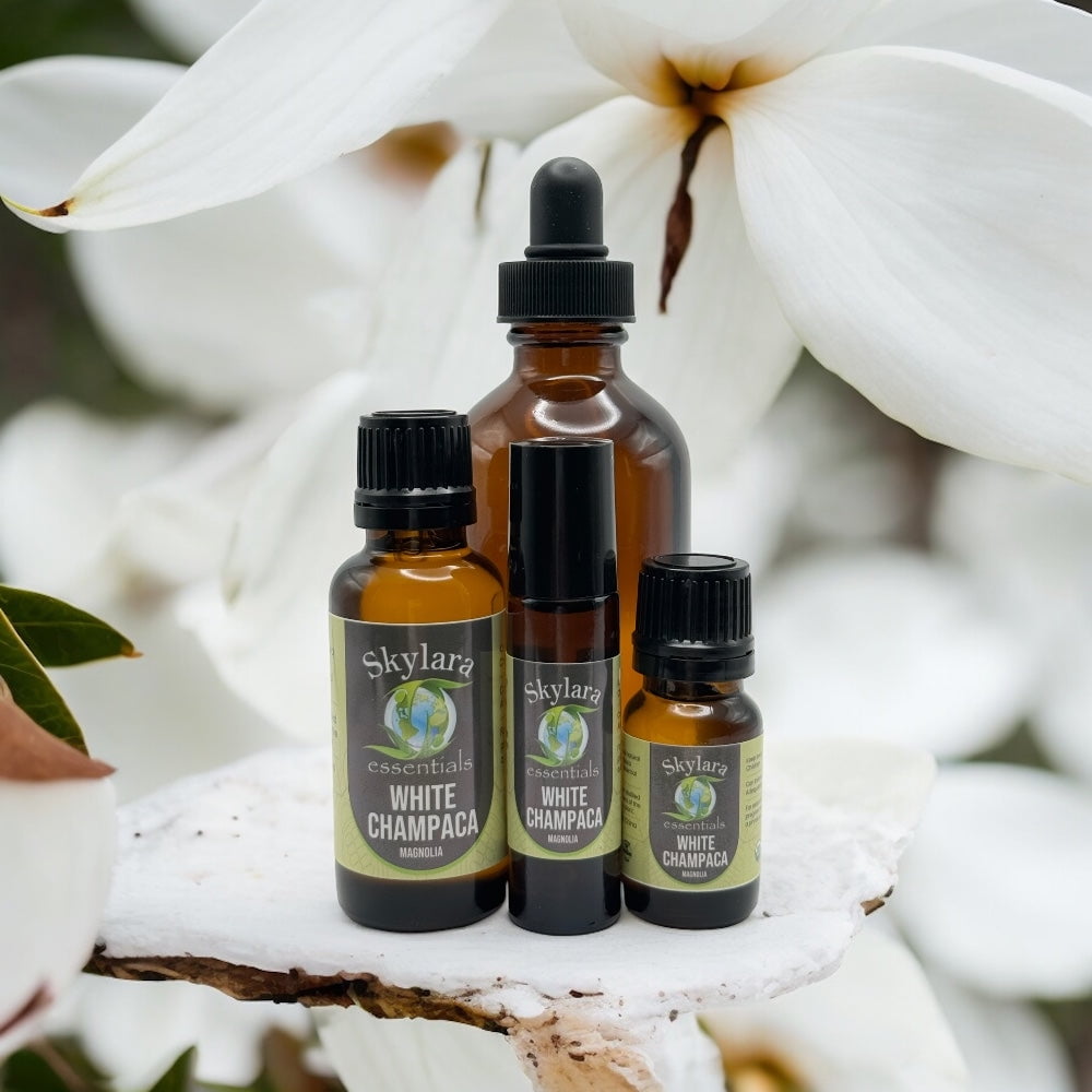 White Champaca (Magnolia) Essential Oil - Walmart.com