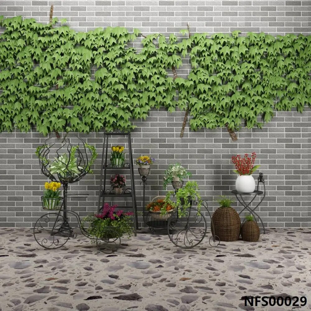 White Chic House Window Curtain Sunshine Plants Portrait Photography ...