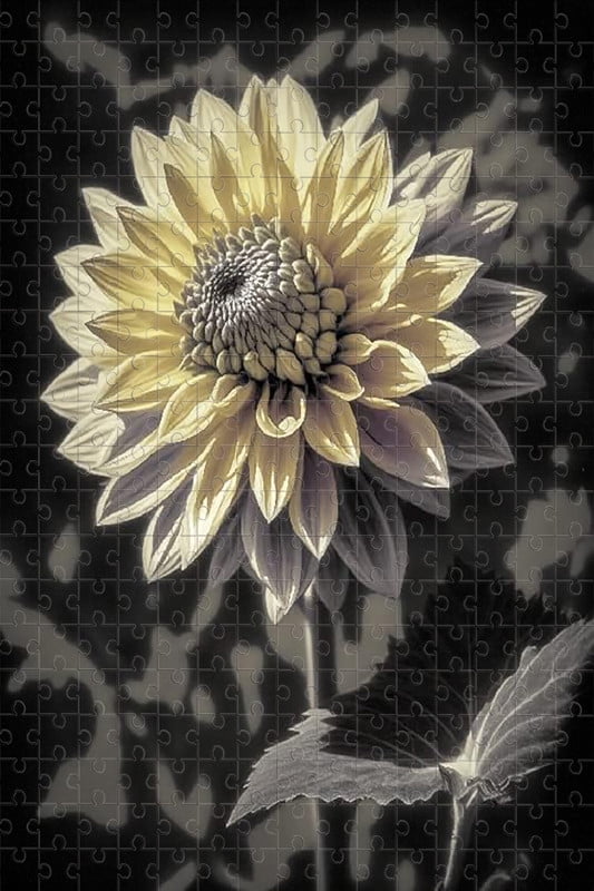 White Dahlia 500 Piece Puzzle for Adults, High Resolution, Matte Finish ...