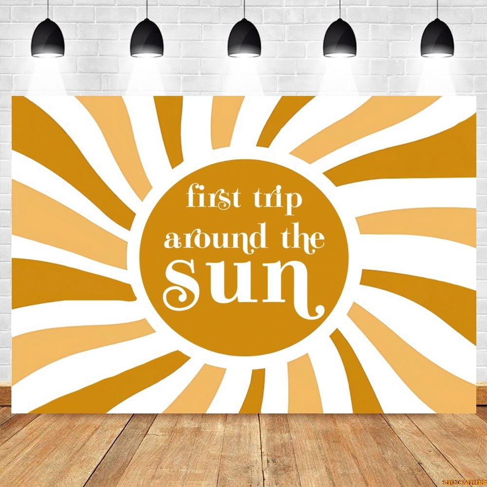 White Daisy Backdrop Sun Sunshine Car Newborn Baby Shower Kids Birthday ...
