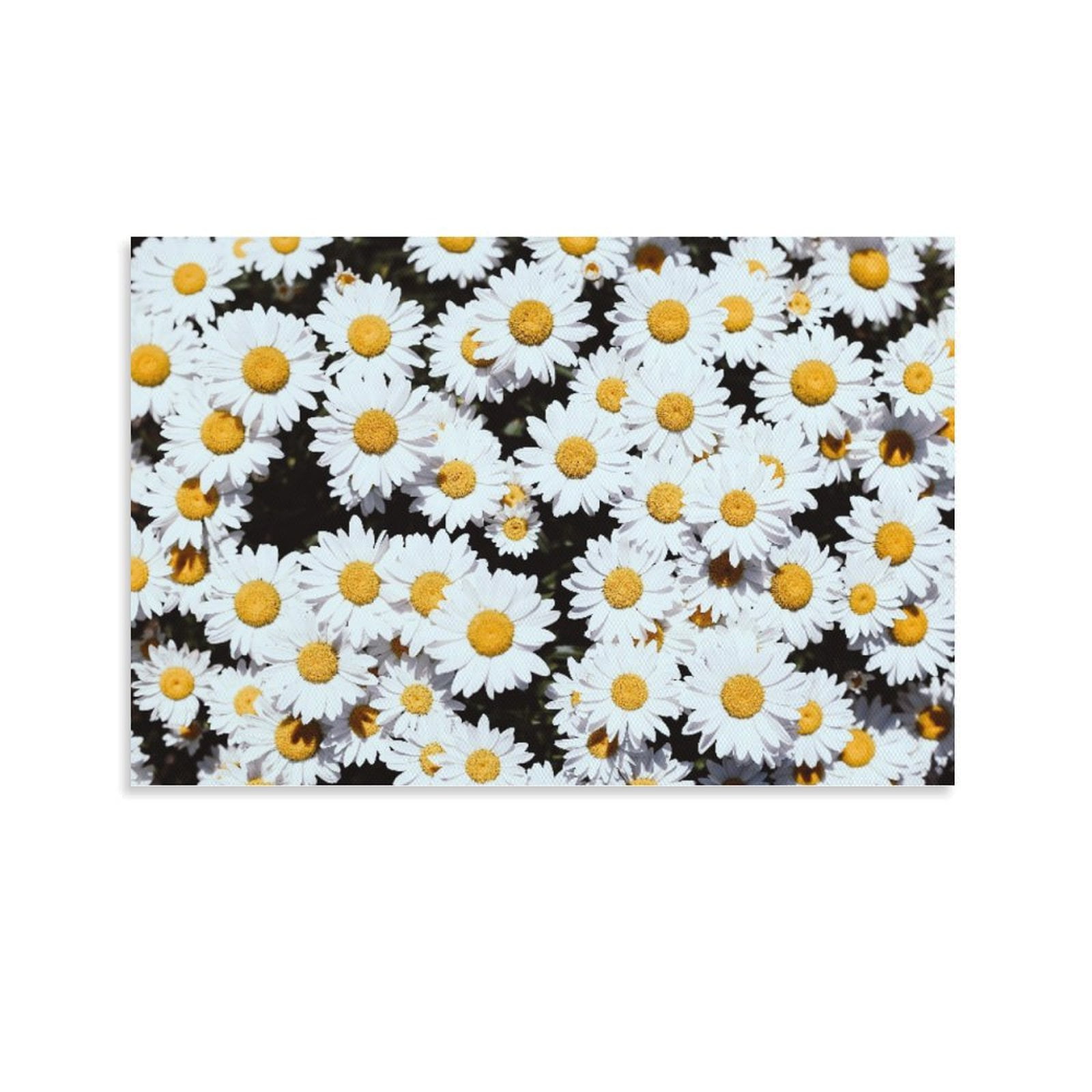 White Daisy Flowers Canvas Art Poster And Wall Art Picture Print Modern ...