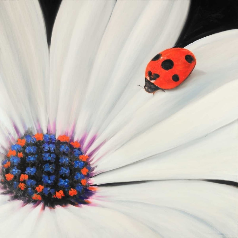 White Daisy and Ladybug Poster Print by Atelier B Art Studio - Walmart.com