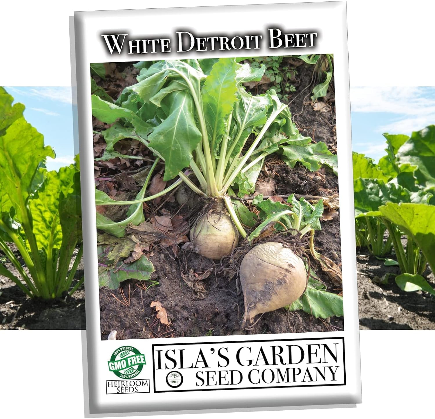 "White Detroit" Beet Seeds for Planting, 100+ Heirloom Seeds Per Packet ...