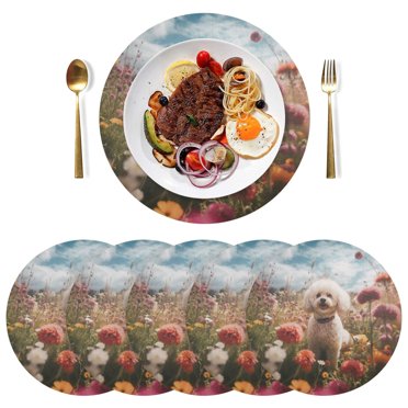 ONEFIND Set of 6 Round Placemats, 15 inch Beige Woven Table Mats, Heat ...