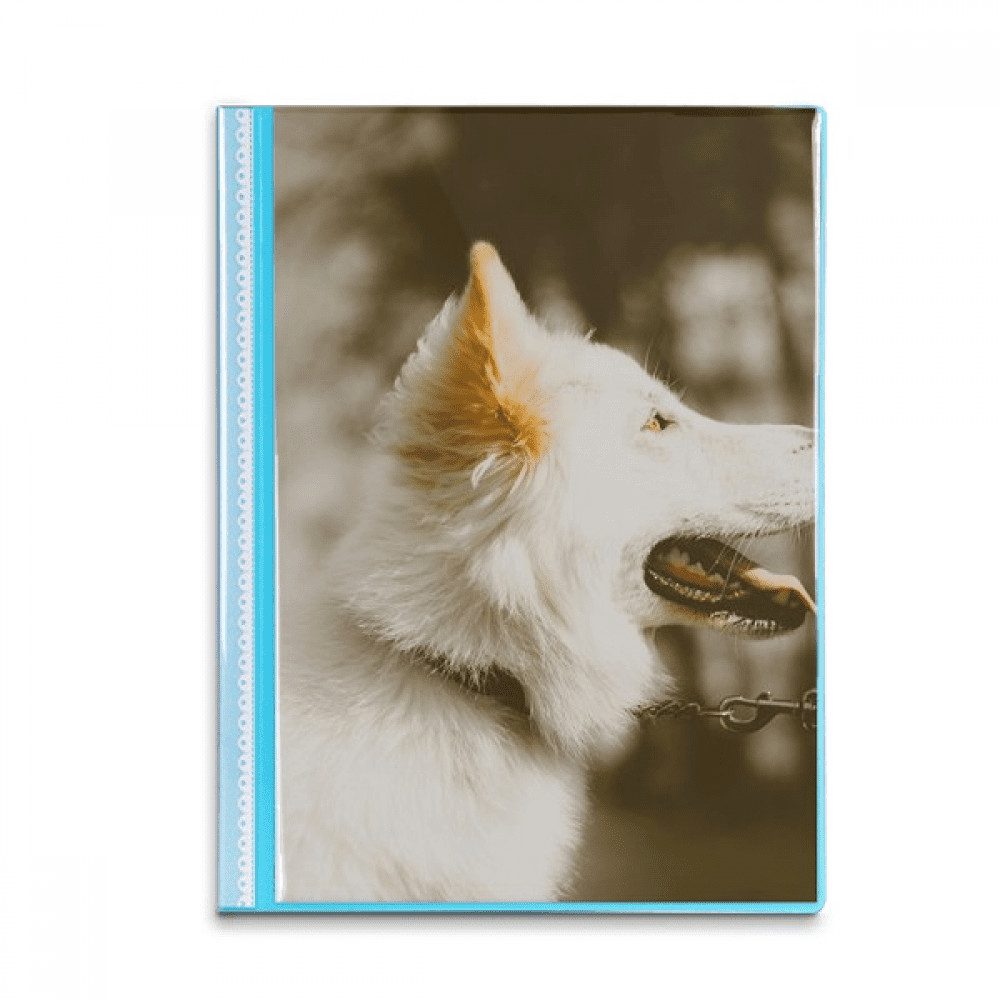 White Dog Pet Animal Photo Book Sheet Protectors Portfolio Binder ...