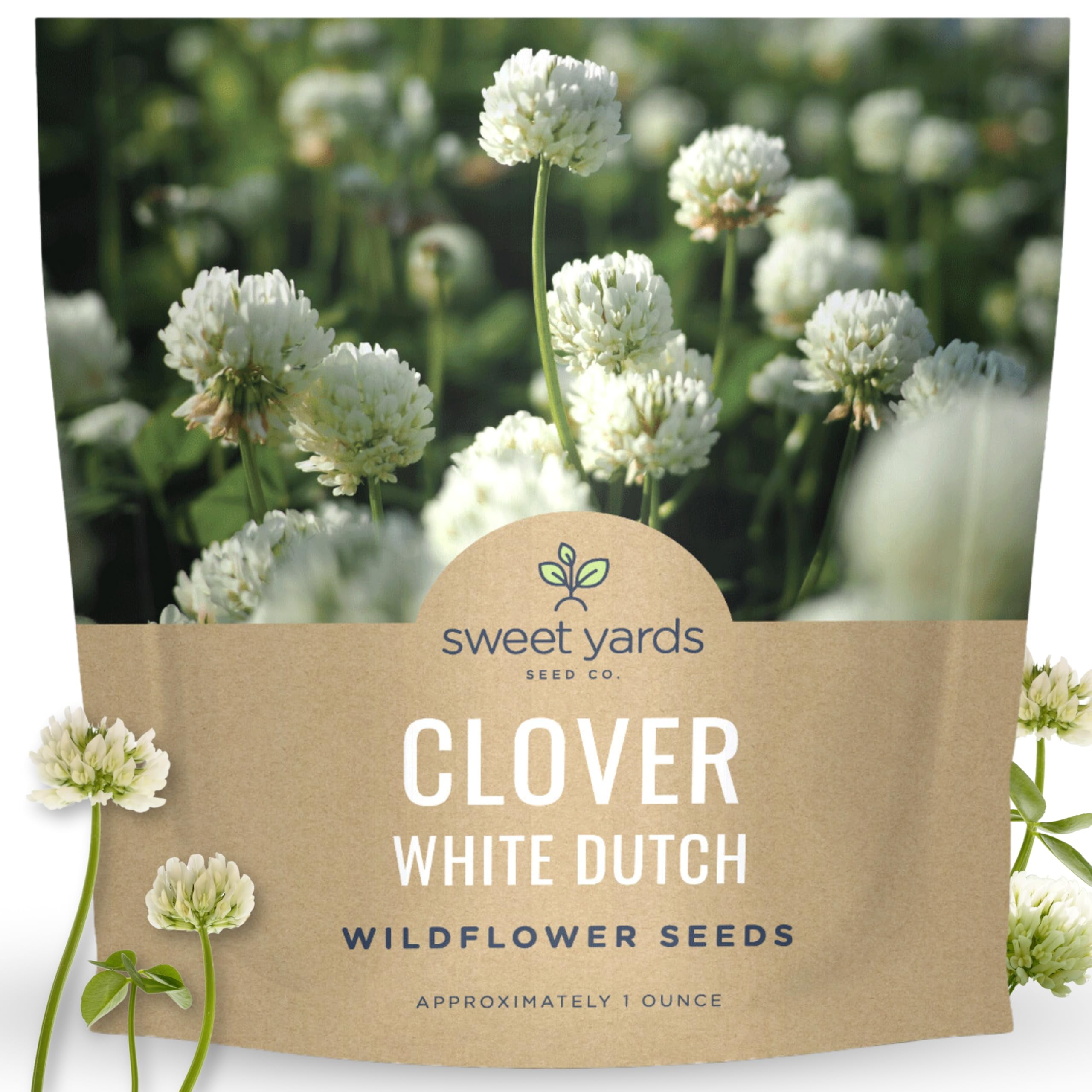 White Dutch Clover - Large 1 MVR1 Ounce Packet - 40,000 Flower Seeds ...