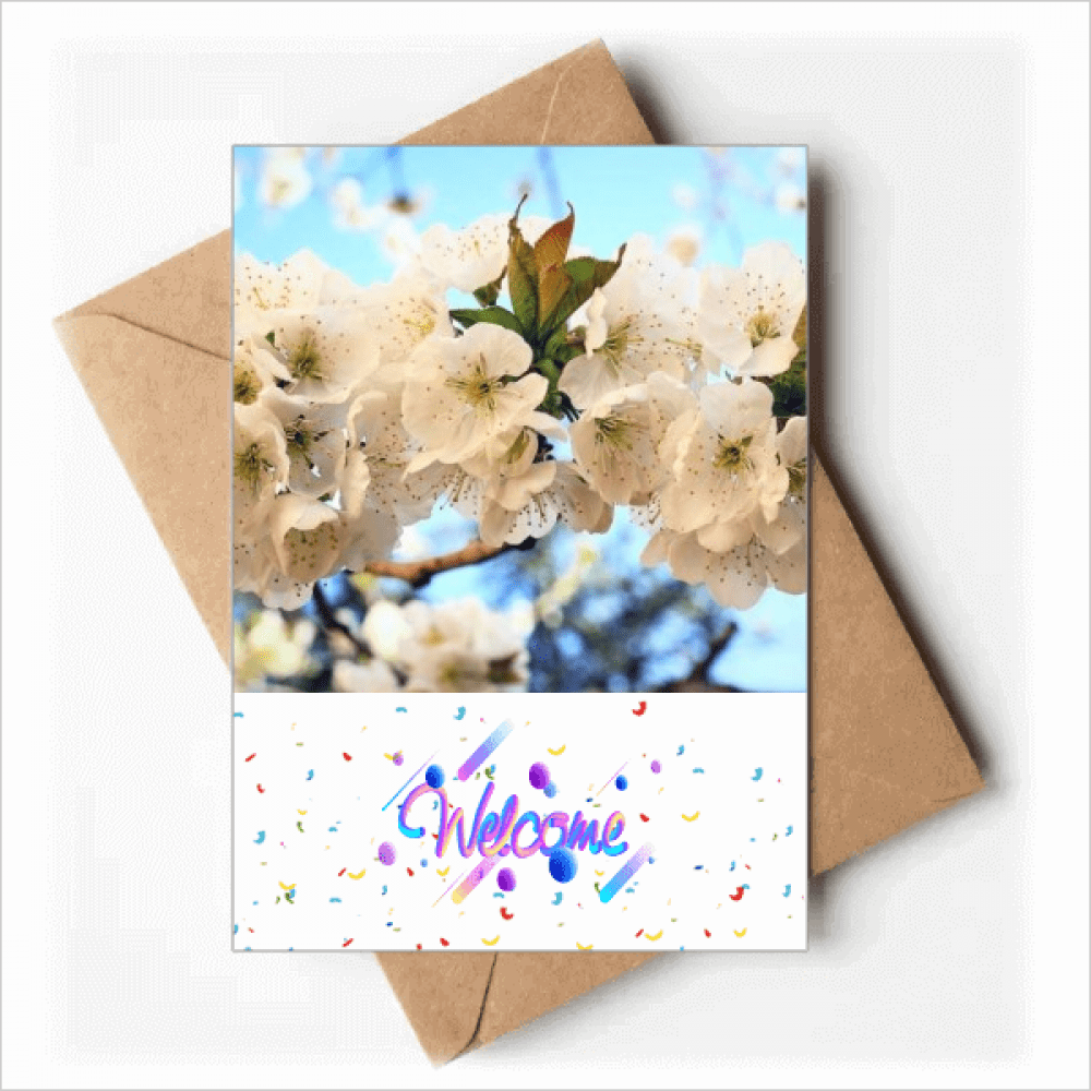 White Flowers Beautiful Rose Welcome Back Greeting Cards Envelopes ...