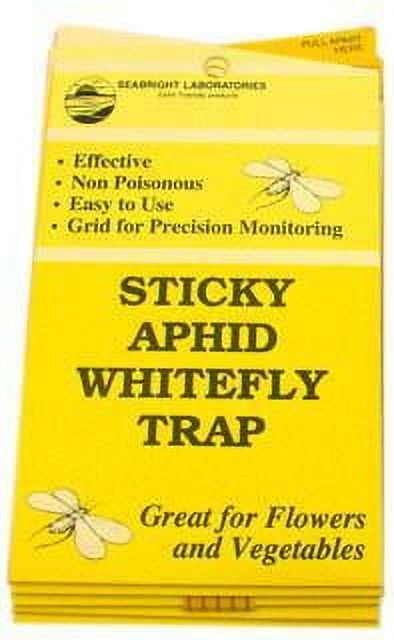 White Fly Traps - Walmart.com