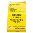 White Fly Traps - Walmart.com