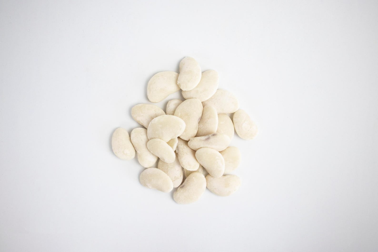 White Garrofón Butter Bean Valencian Paella Vining Heirloom Seed Packet ...