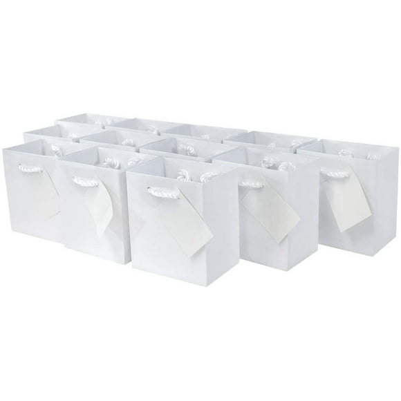 Mini White Bags Handles