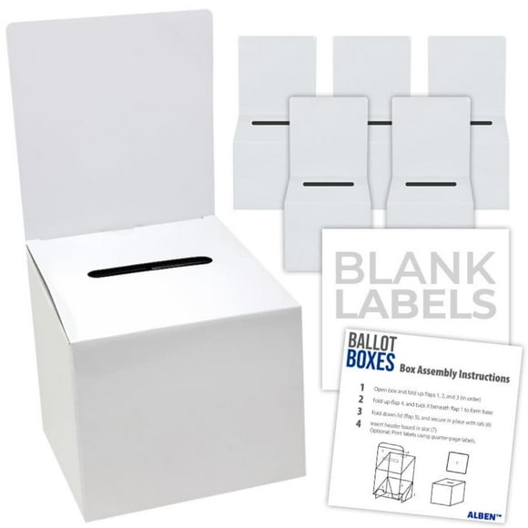 Cardboard Ballot Box