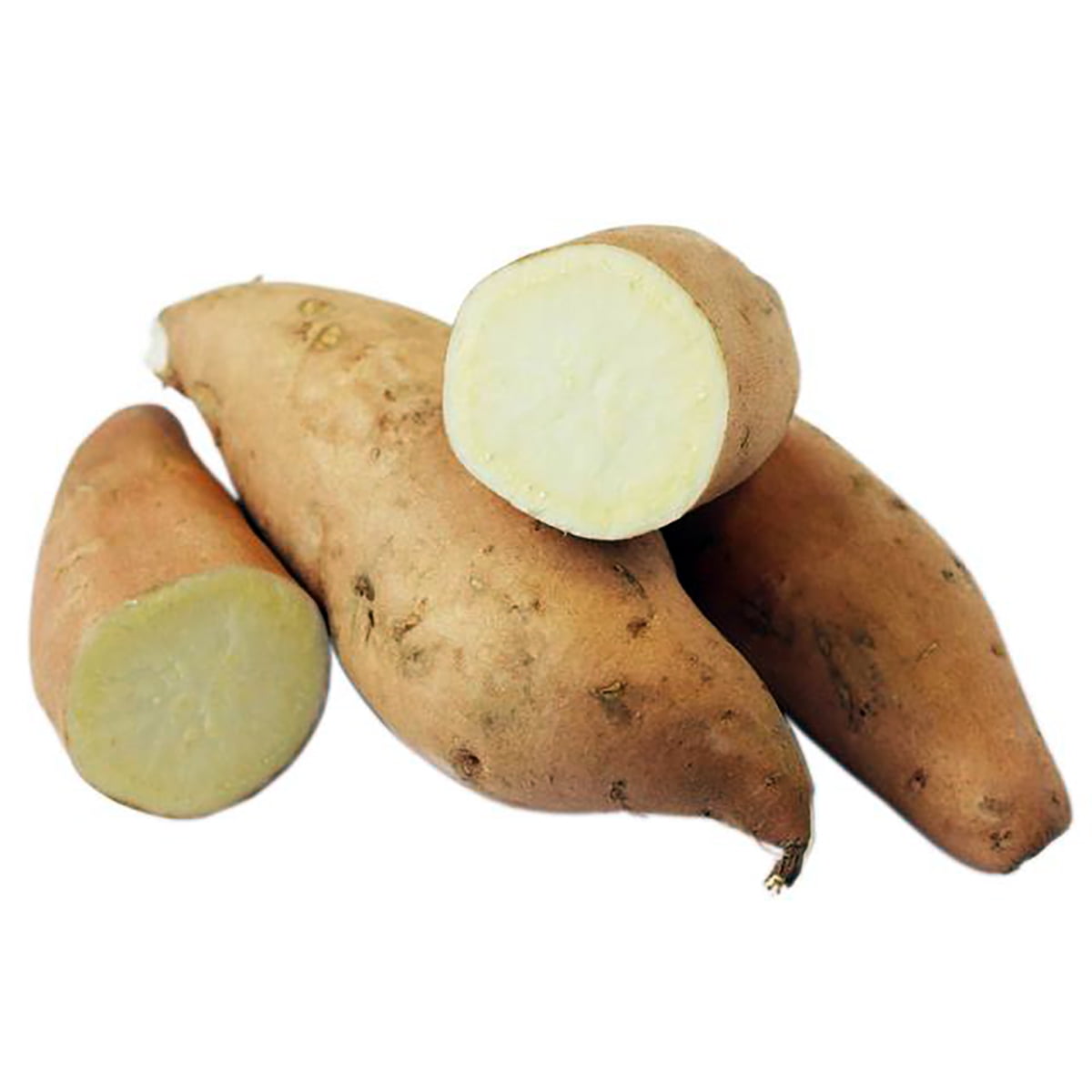 White Haymon Sweet Potato Slips - Ipomoea batatas - 2 Slips - Walmart.com