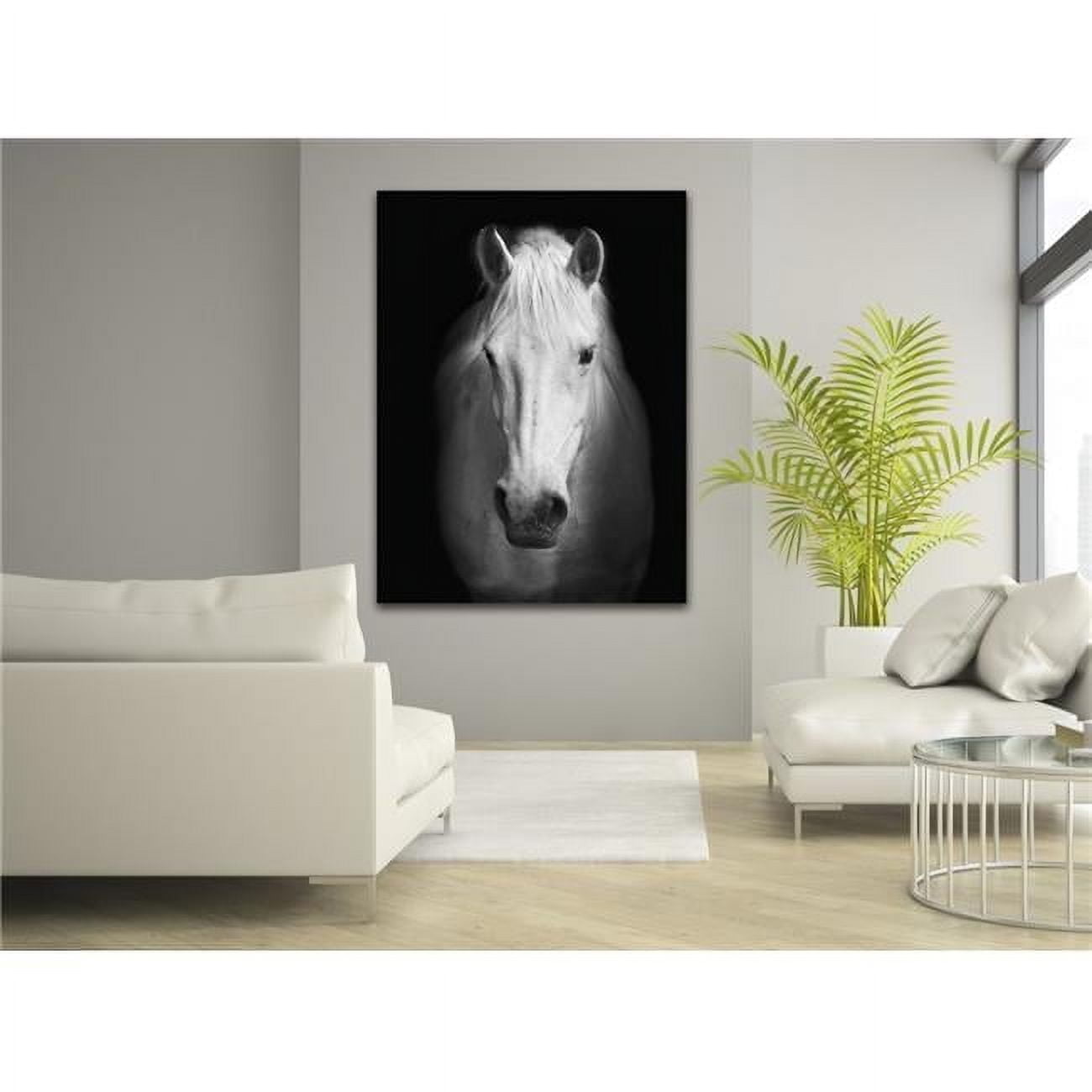 White Horse Face Photography Canvas Art, 24 x 36 in. - Walmart.com